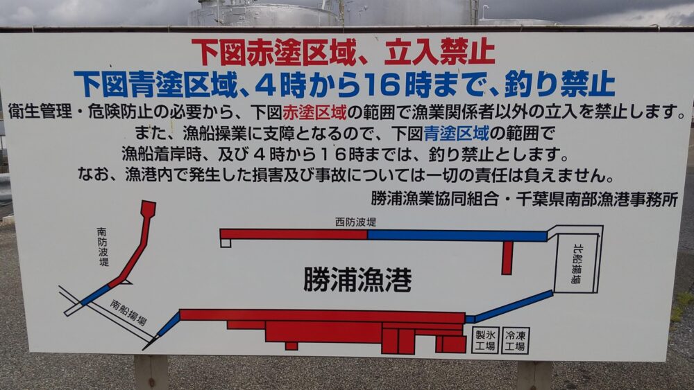 [2026年最新版] 勝浦漁港釣り場ガイド｜禁止エリア・時間制限の実態と周辺おすすめ釣り場